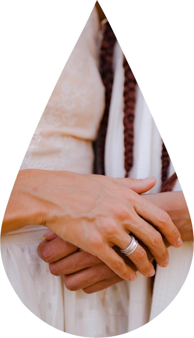 Nontoxic organic tampons. Fully tested, regenerative period care ...